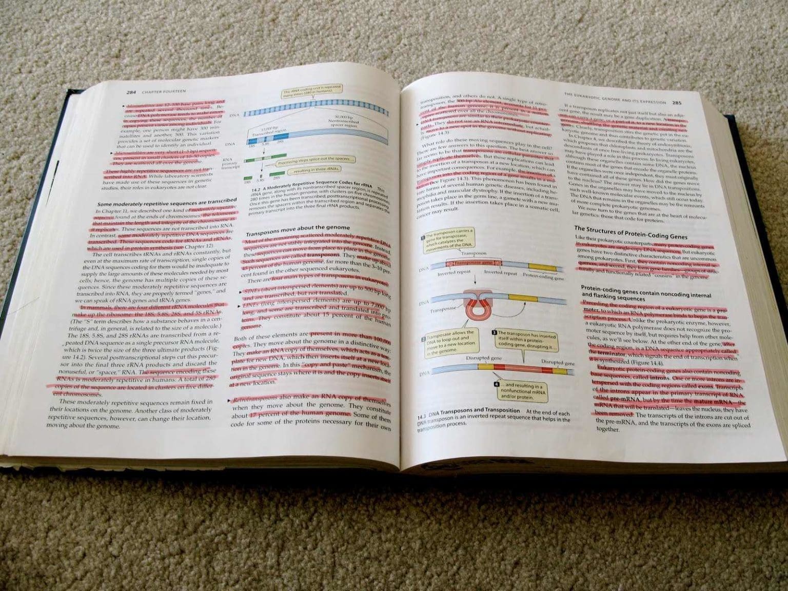 The 11 Step Guide to Highlighting Textbooks - ManipalBlog